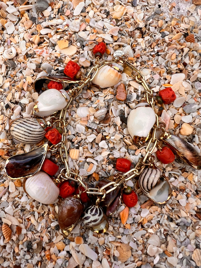 Seashell Charm Bracelet with Apple Coral – Christa's South Seashells ...