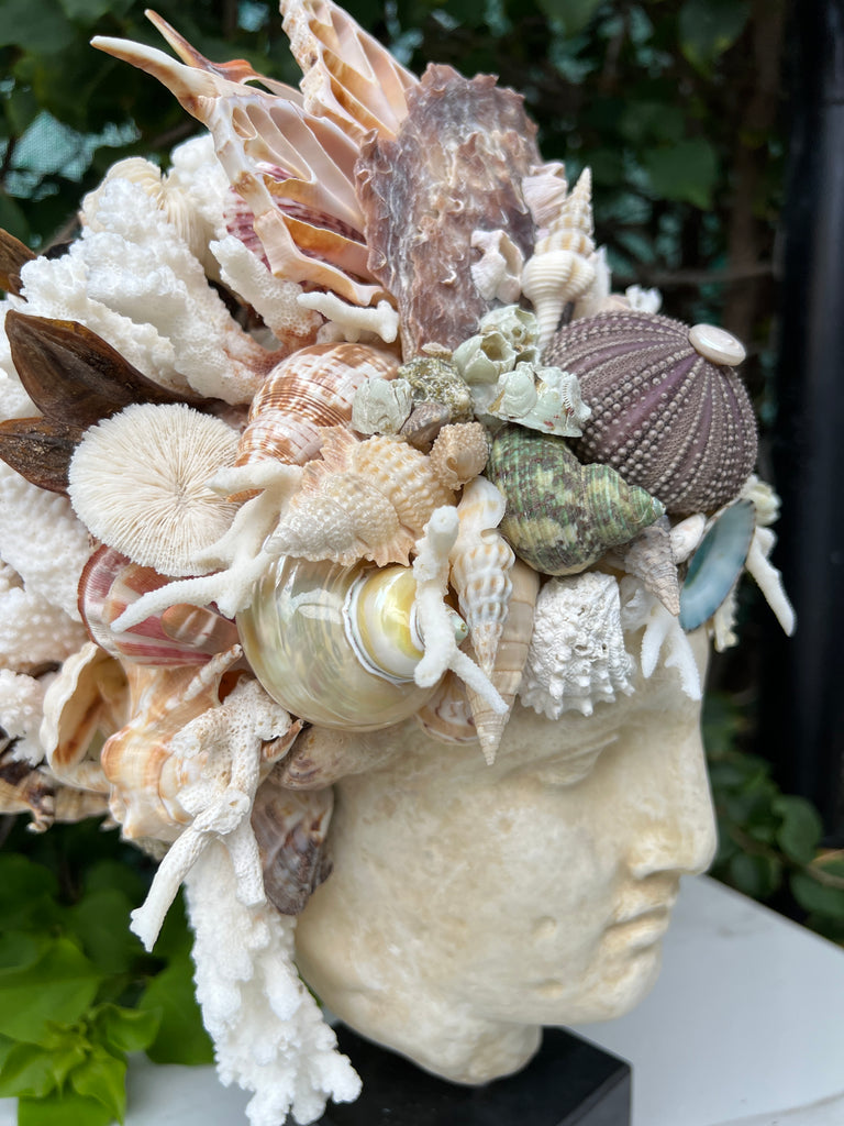 Christa's South Seashells Large Shell Encrusted Hygeia Head – Christa's ...